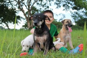 Happy Animals Club: 9 Year Old Boy Creates Animal Shelter Project and ...