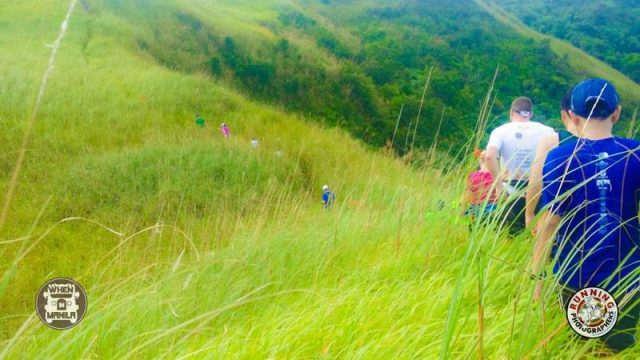 Have You Experienced the Thrill of the Trail? Trail Running Rocks ...