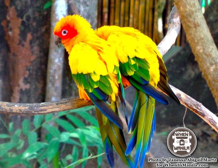 Top 5 Things To Do When Visiting Subic - When In Manila