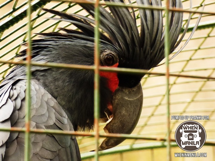 PUGAD Pugo Adventure La Union: The Most Adrenaline Pumping Resort in ...