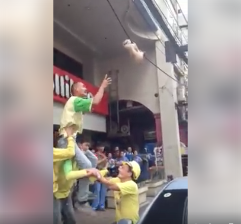 WATCH: These Guys Just Saved A Cat's Life In A Daring Rescue! - When In ...