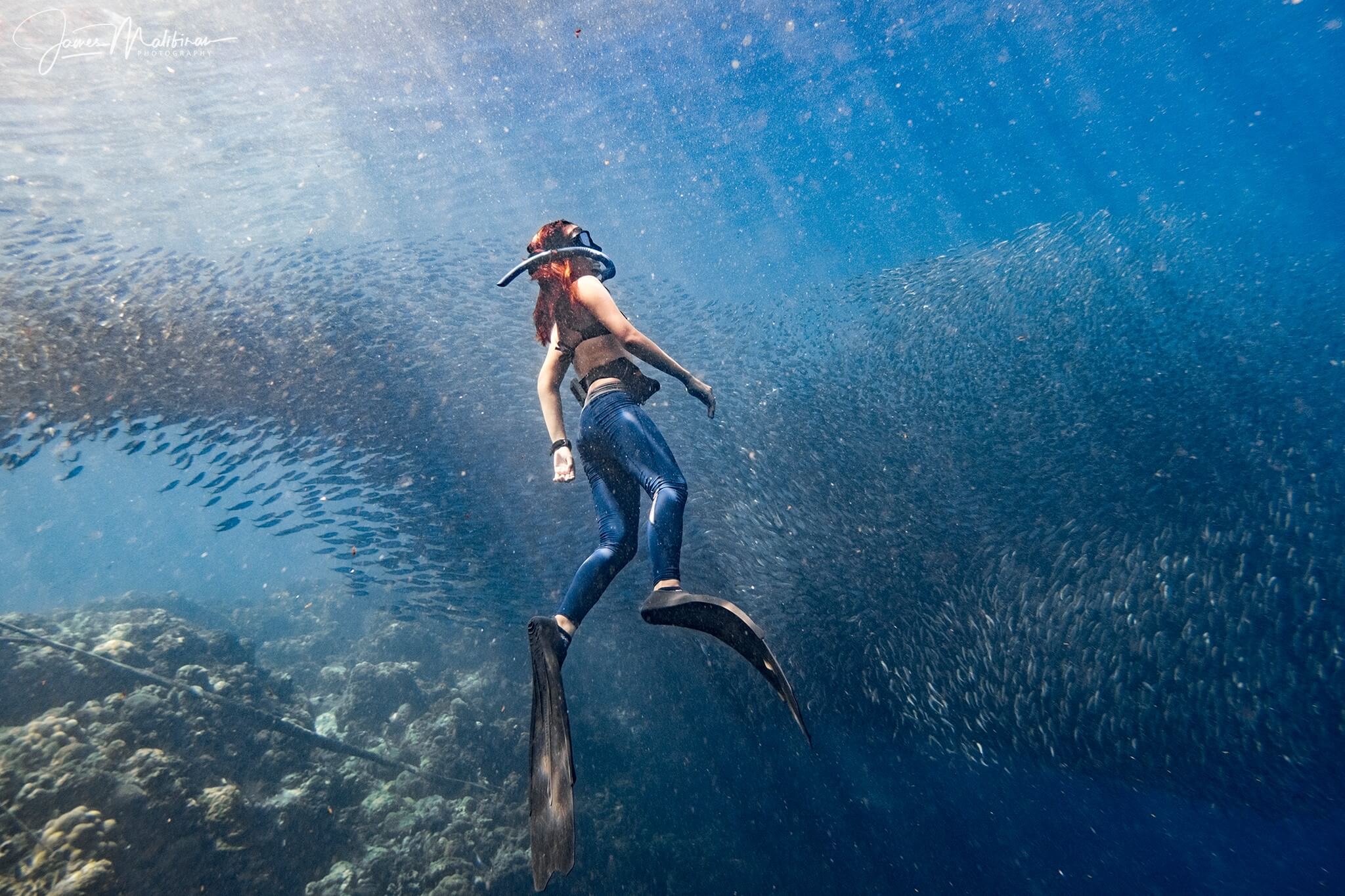 LOOK: The Exquisite Underwater World of Moalboal, Cebu in Photos - When ...