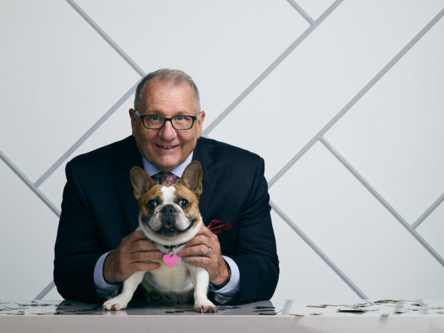Here's What Happened to the Dog who played Stella in Modern Family ...