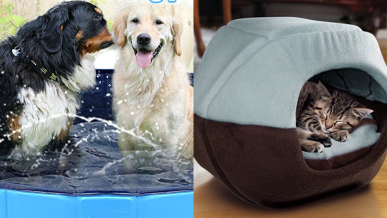 7 pet products to shower your pets with some extra love - When In Manila