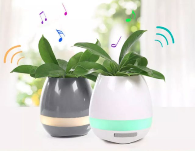 LOOK: This Plant Pot Triples as a Bluetooth Speaker And Lamp - When In ...
