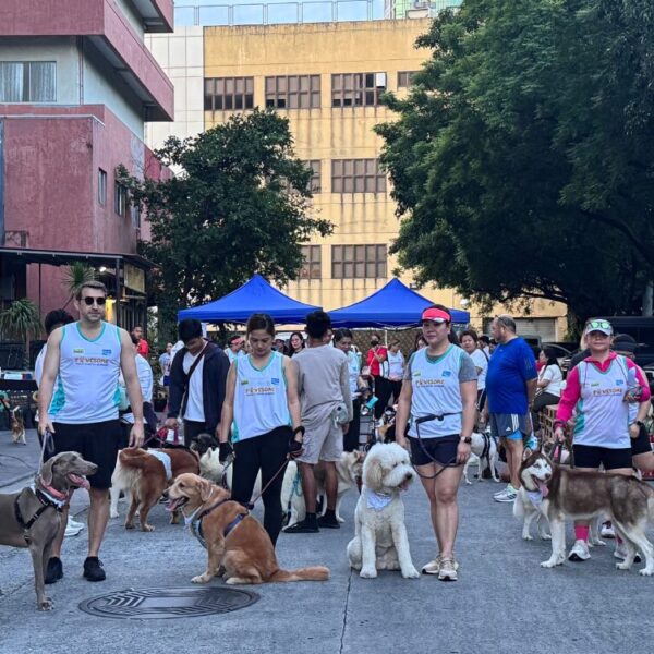 7 Fun Places You Need to Visit When in Bohol - When In Manila