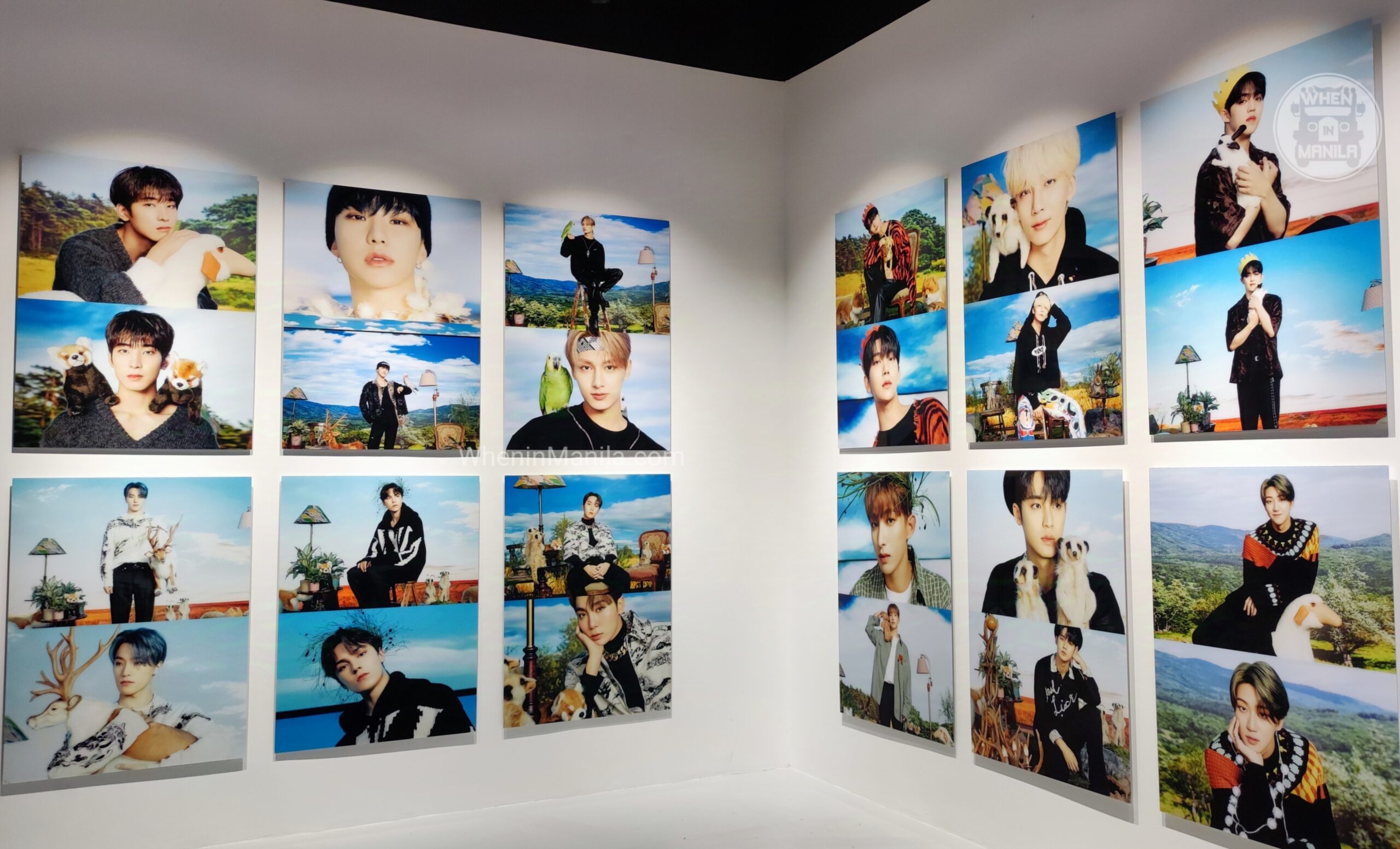 D'Festa BGC: 5 Must-See Highlights That K-pop Fans Will Love - When In ...